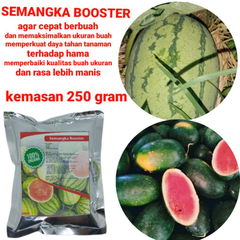 Jual semangka booster pupuk organik booster khusus buah semangka pupuk booster untuk bibit ...