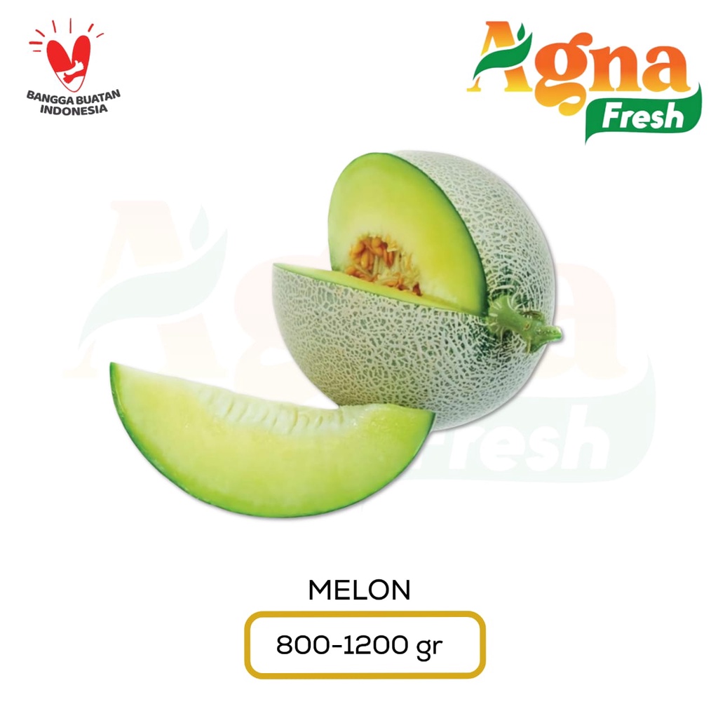 Jual MELON 1 BUAH BERAT 1 - 1,2 KG | Shopee Indonesia