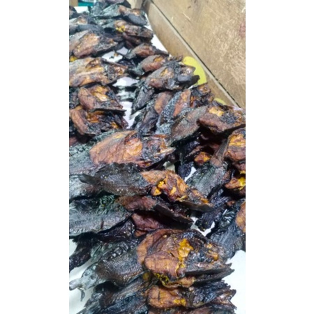 Jual Ikan Sale Limbat Kampung 500gram Medan | Shopee Indonesia