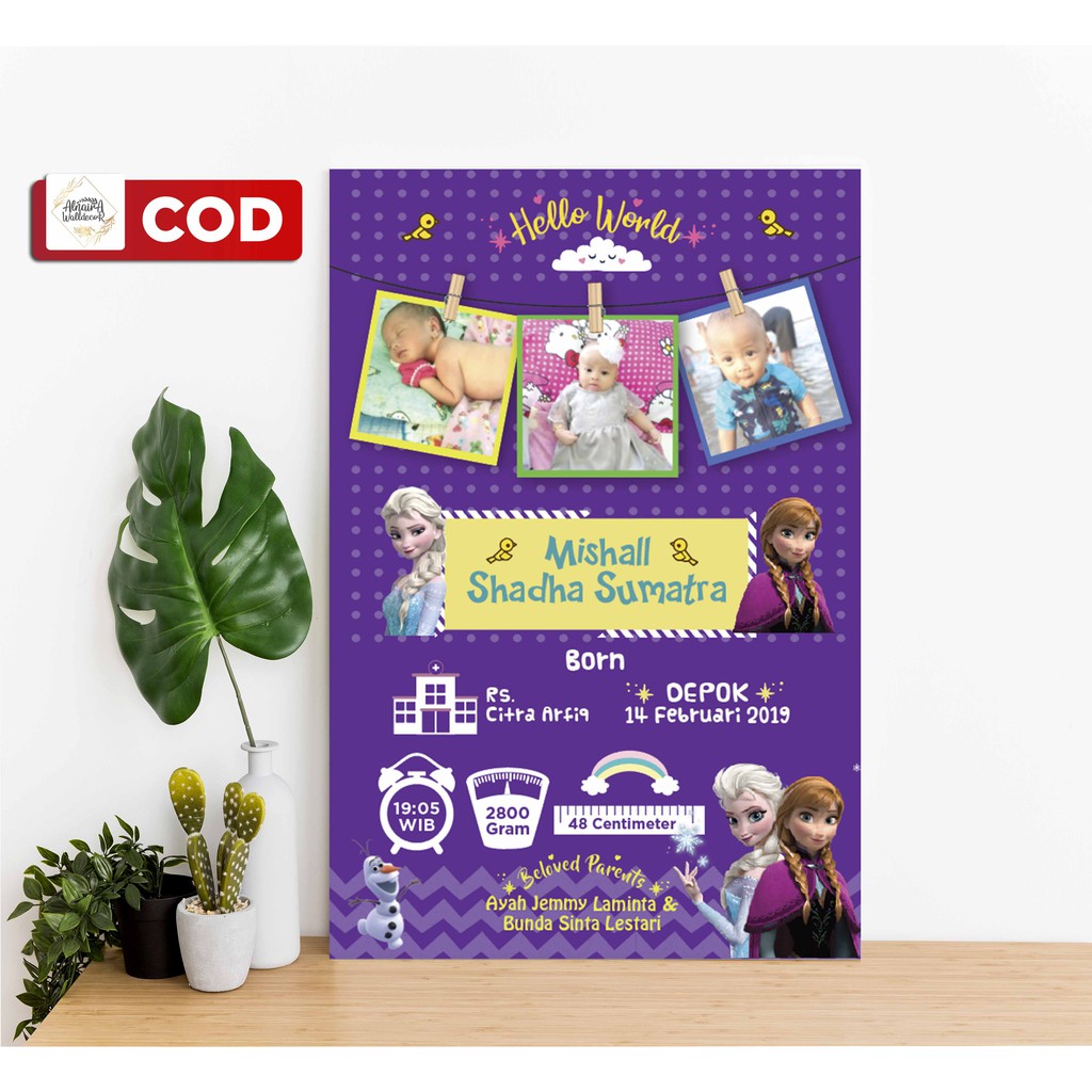 Jual Hiasan Dinding Biodata baby Wall Decor Custom Baby shower Tema ...