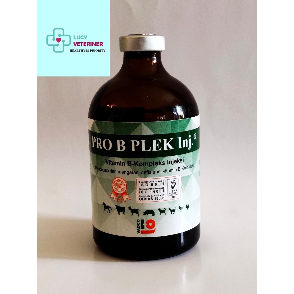 Jual Vitamin B-Kompleks Injeksi Pro B Plek Inj. | Shopee Indonesia