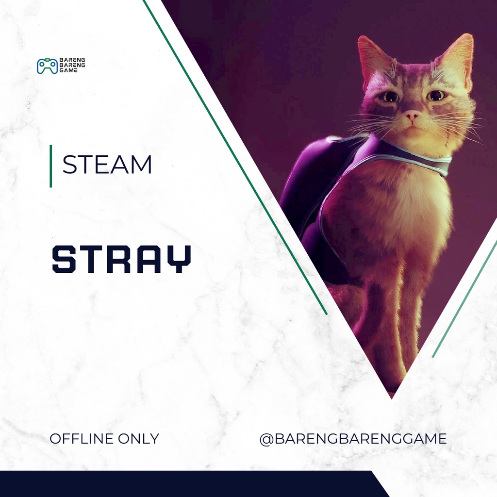 Jual STRAY STEAM ORIGINAL | Shopee Indonesia