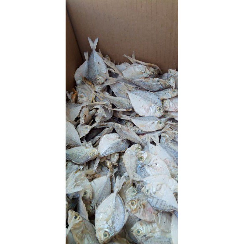 Jual Teri asin petek/pirik kering 1kg | Shopee Indonesia