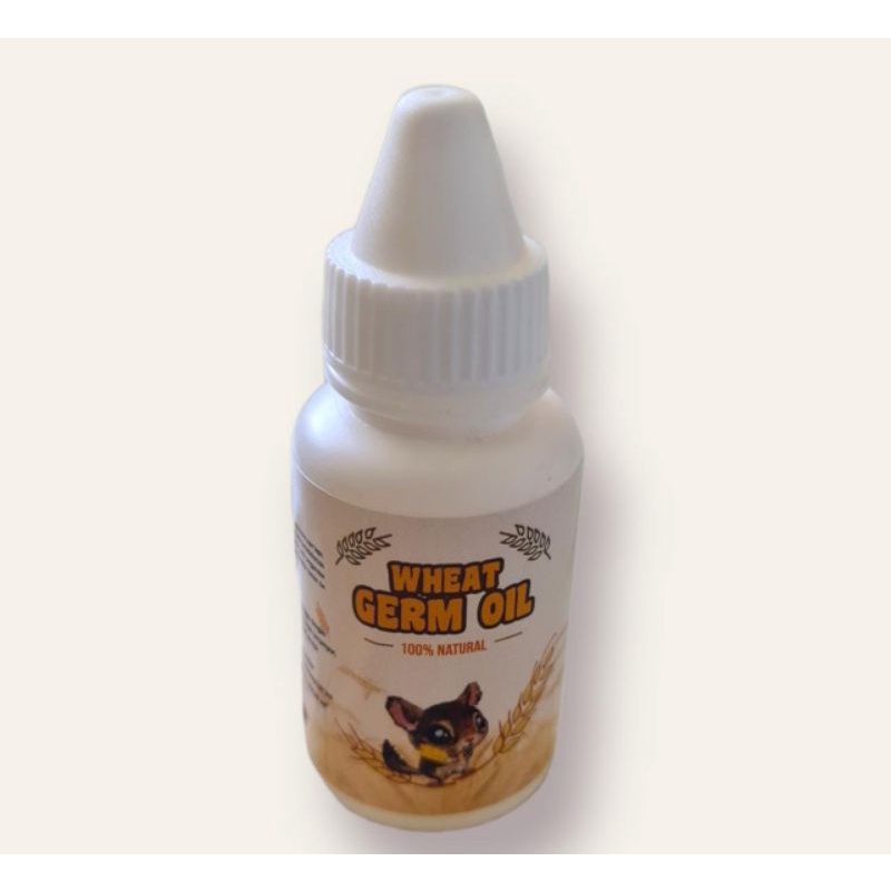 Jual Wheat Germ Minyak Gandum Sugar Glider | Shopee Indonesia