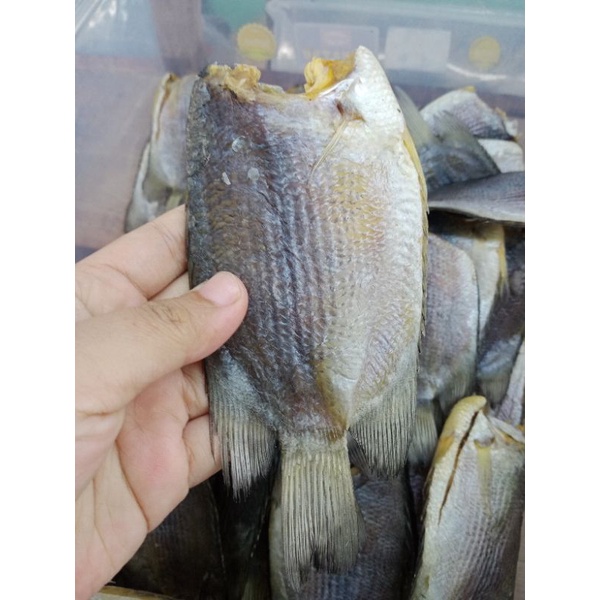Jual ikan asin biawan 1kg | Shopee Indonesia