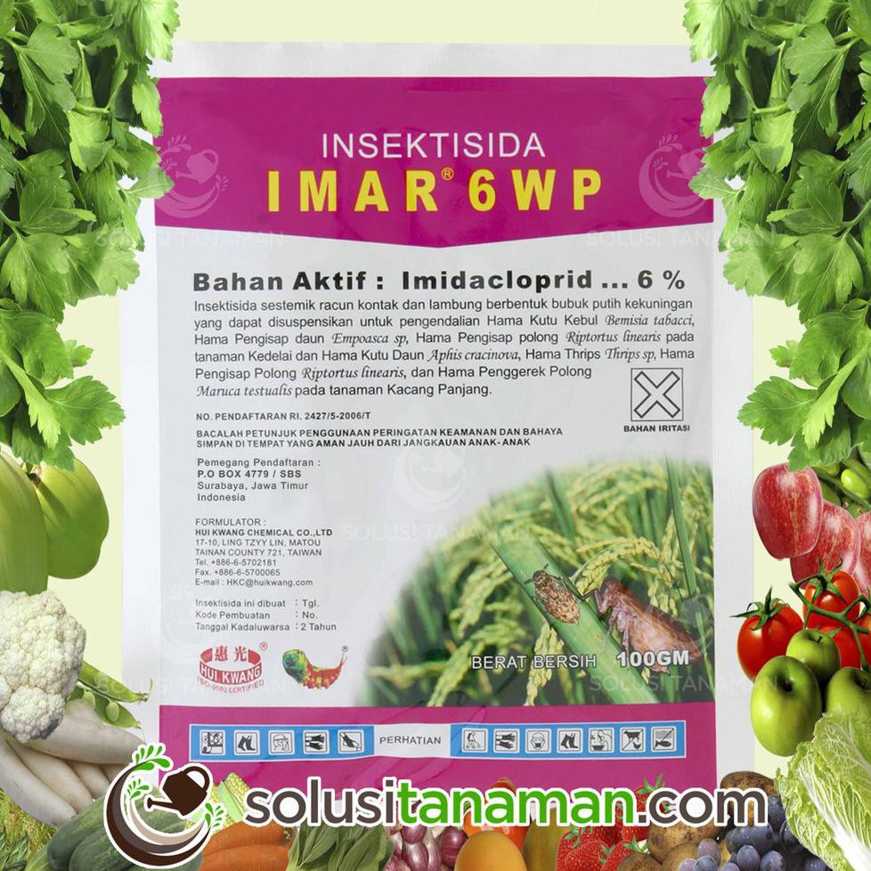 Jual DM19 PESTISIDA IMAR 6WP @ 100GR OBAT INSEKTISIDA PEMBASMI HAMA BELALANG & KUTU TANAMAN ...