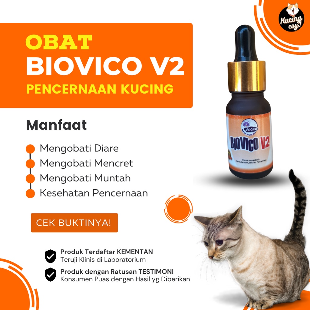 Jual BIOVICO V2 Obat Kucing Sakit Perut Diare Mencret Antibiotik ...