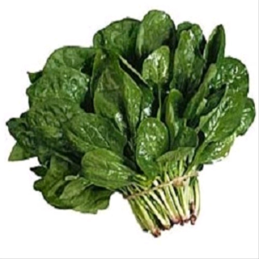 Jual 10 Benih Bayam Horenso Poeyling | Shopee Indonesia