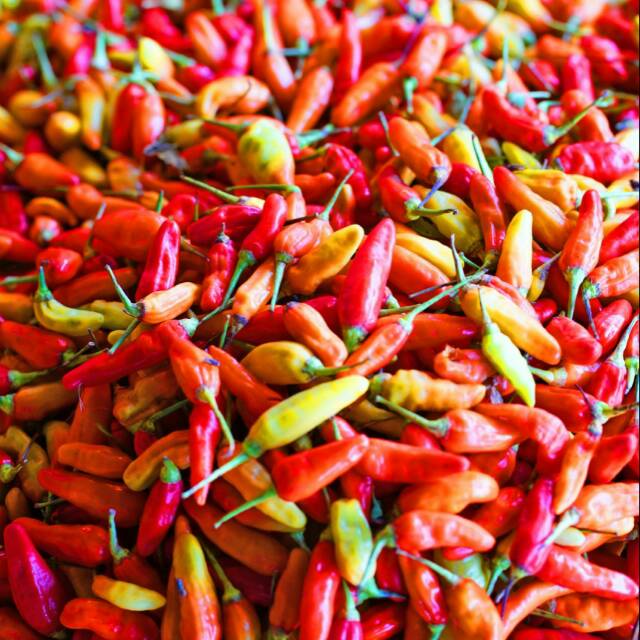 Jual Cabe Terlengkap & Harga Terbaru Mei 2026 | Shopee Indonesia