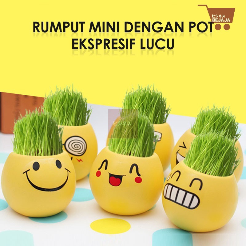 Jual BEJAJA - Pot Ekspresif Lucu Dengan Tanaman Rumput Mini | Shopee ...
