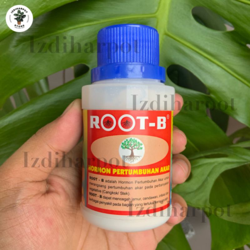 Jual ROOT - B 100 GR pupuk pertumbuhan akar dan mencegah jamur pada ...
