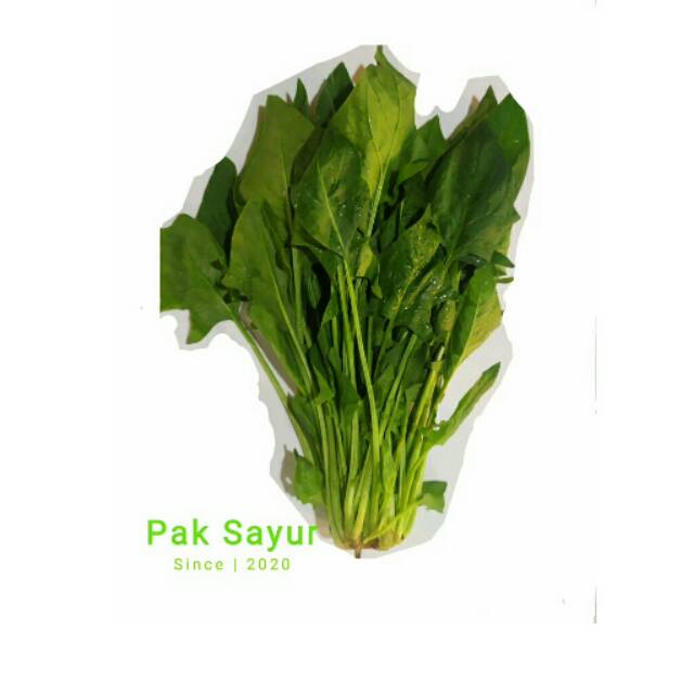 Jual Horenzo bayam jepang/250 gram | Shopee Indonesia