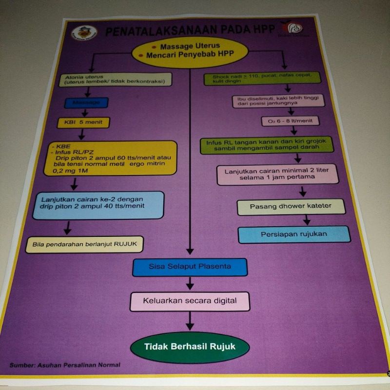 Jual Poster Penatalaksanaan Pada HPP New 2022 | Shopee Indonesia