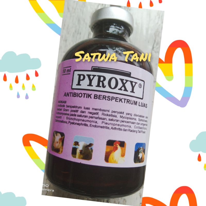 Jual Pyroxy 50 ml (obat modern) | Shopee Indonesia