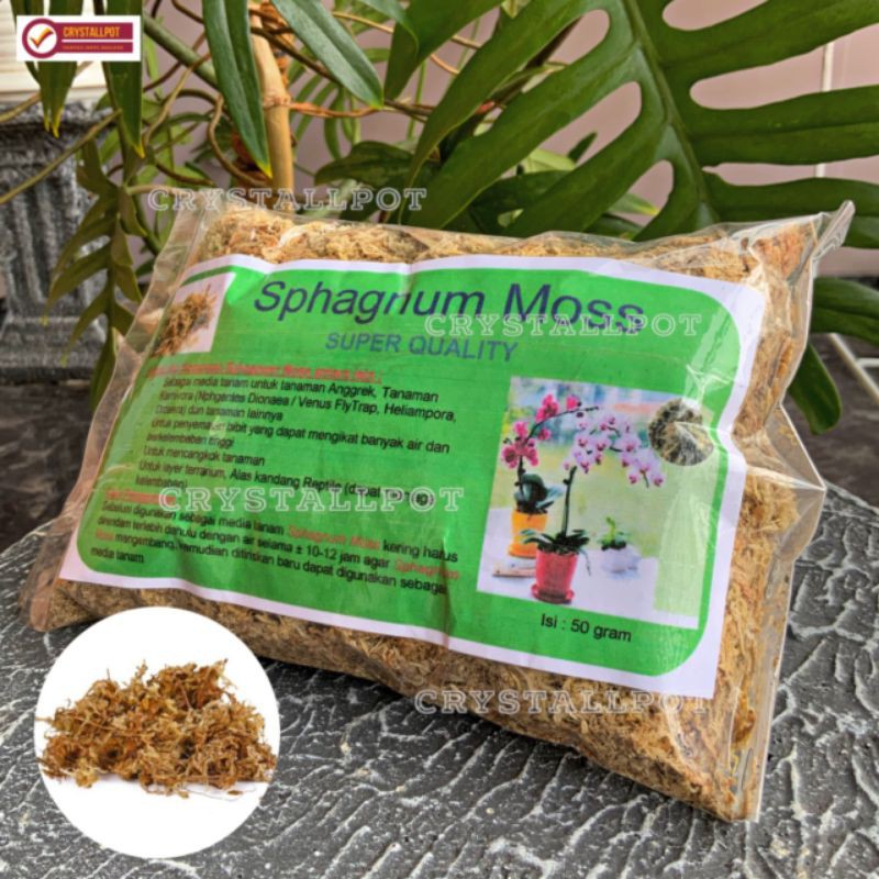 Jual Media tanaman bunga anggrek - sphagnum moss | Shopee Indonesia