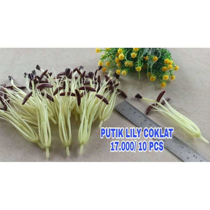 Jual Putik Lily Coklat Putik Bunga Plastik | Shopee Indonesia