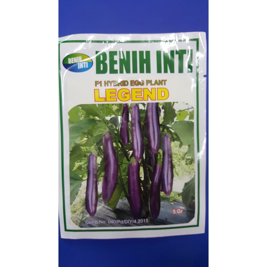 Jual BENIH BIBIT TERONG UNGU LEGEND 5 GRAM | Shopee Indonesia