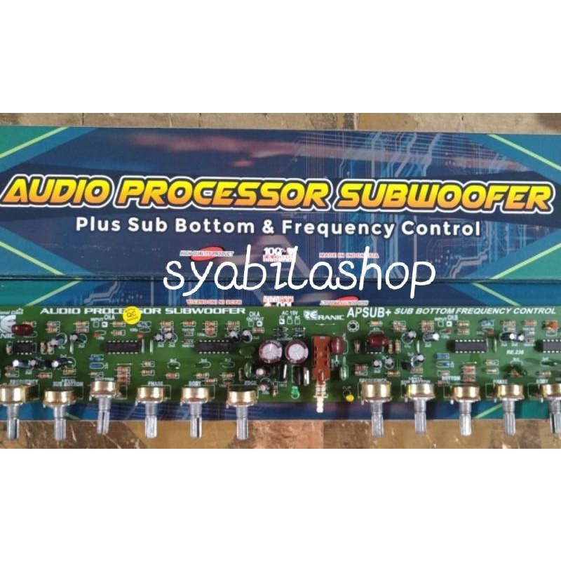 Jual KIT AUDIO PROSESSOR PLUS SUBWOOFER RANIC | Shopee Indonesia