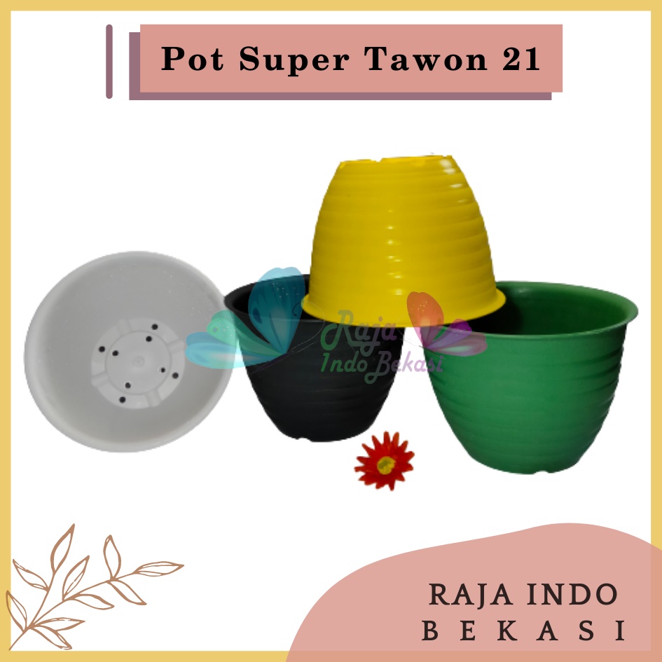 Jual Pot Super Tawon 21 Cm Putih Hitam Hijau Kuning By Garden Of Love ...