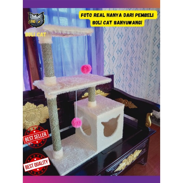 Jual Cat condo Kucing garukan bermain kucing (ready) | Shopee Indonesia