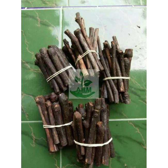 Jual Asli! 12 Stek Batang Anggur Aneka Jenis Ori! | Shopee Indonesia