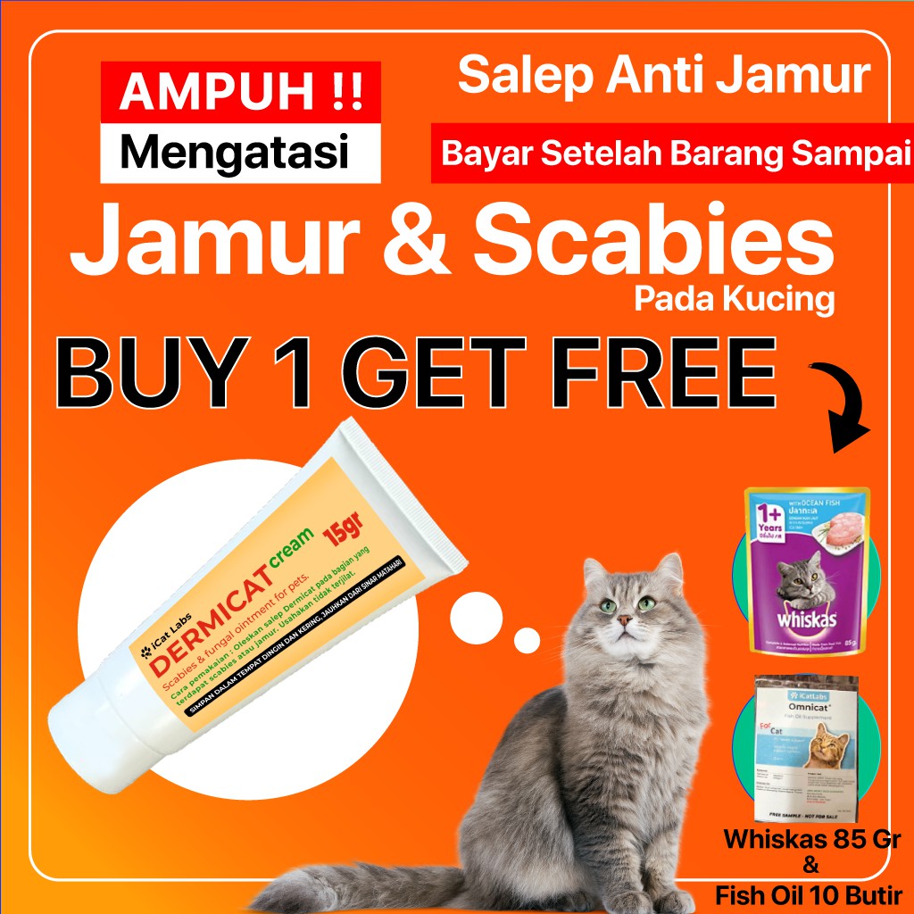Jual Dermicat Obat Jamur Kucing Salep Anti Scabies Gatal Dan Infeksi ...