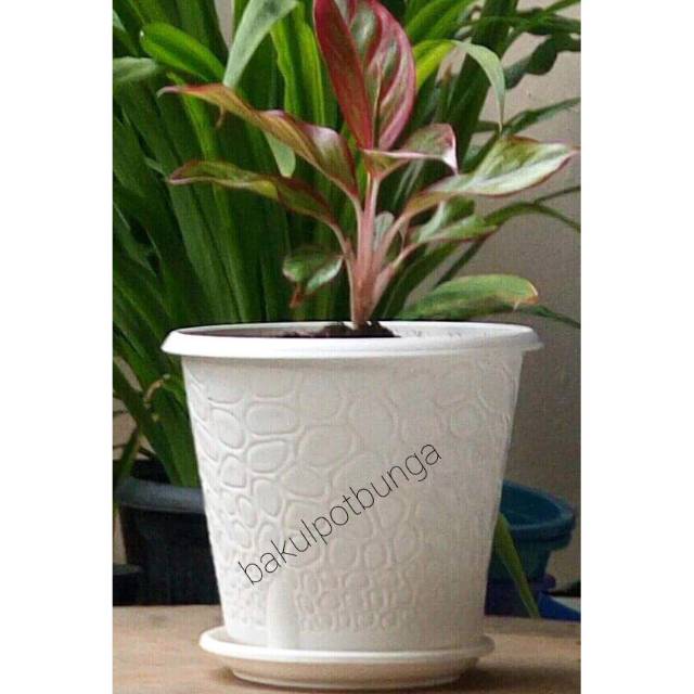 Jual Pot Bunga Coral 03 dan Tatakan Alas Pot | Shopee Indonesia