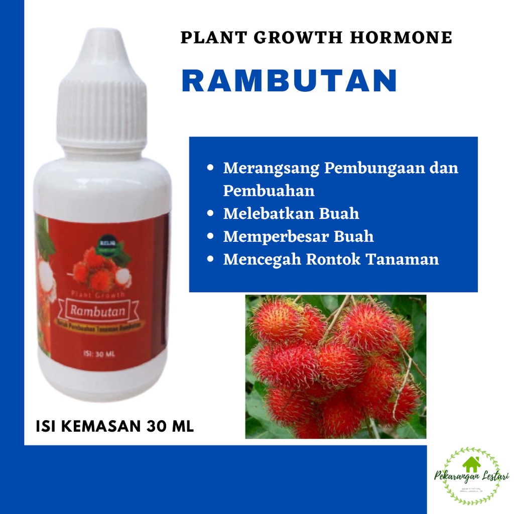 Jual Pupuk Buah Rambutan Binjai, Reliq Plant Growth Serum Tanaman ...