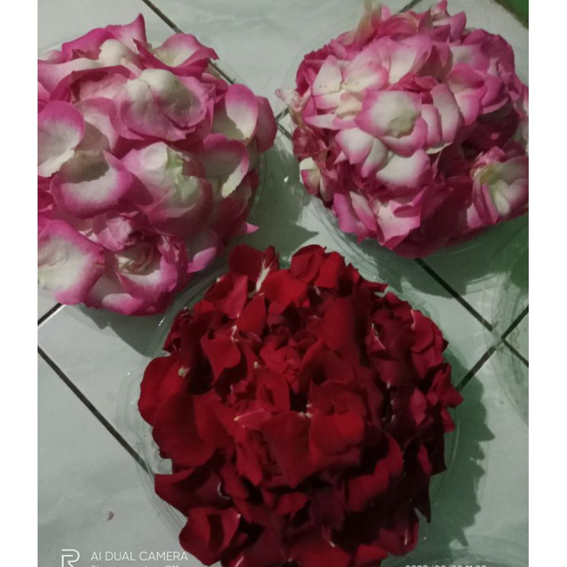 Jual kelopak bunga mawar pilih warna fresh(putih,merah,pinkmuda ...