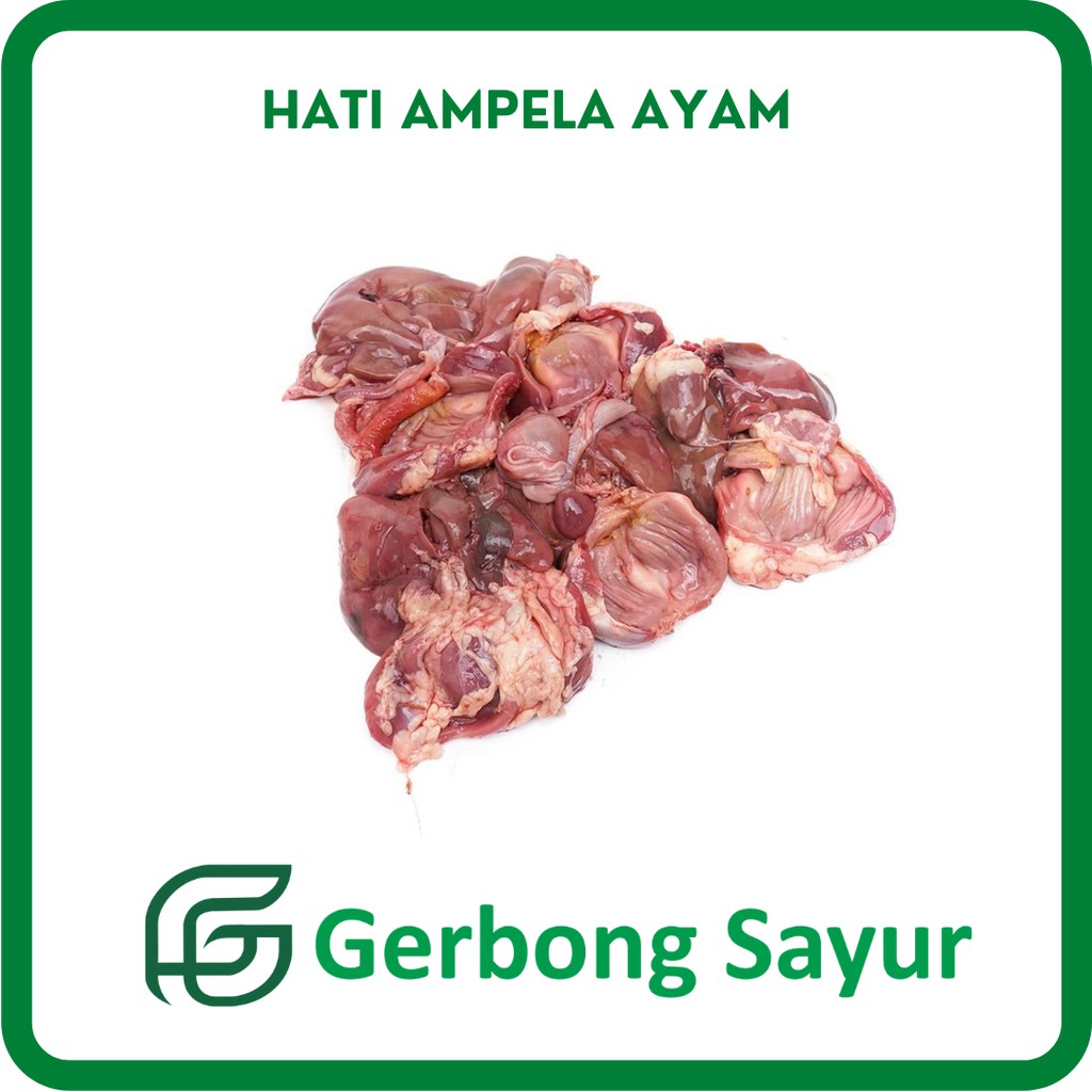 Jual Ati Ampela Ayam - Hati Ampela Ayam Segar - 1 | Shopee Indonesia