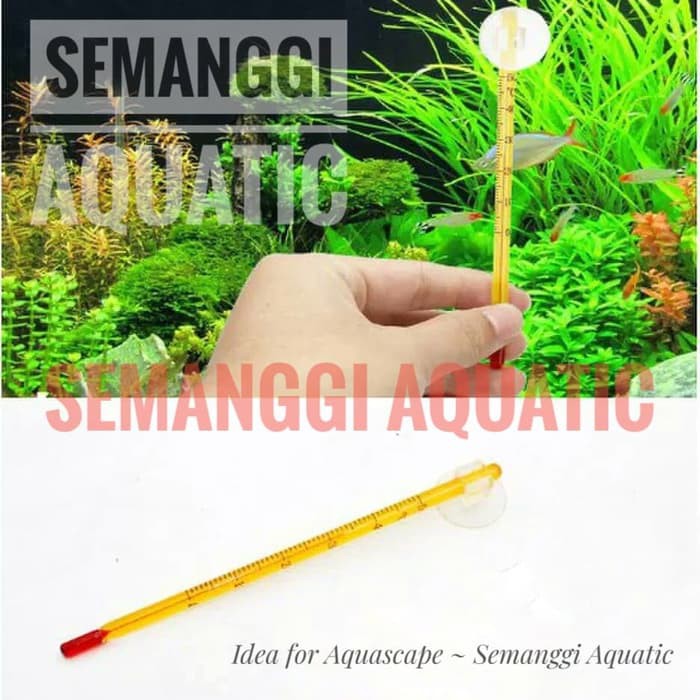 Jual Termemoter Aquascape / Termometer Akuarium / Termometer Celup ...