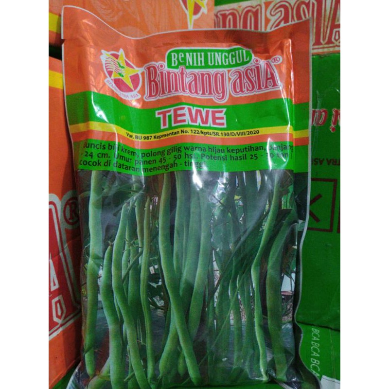 Jual Tewe 500 Gr Biji Krem Polong Panjang Hijau Terang Shopee