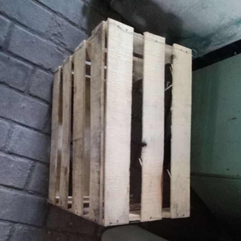Jual Pallet kayu packing | Shopee Indonesia