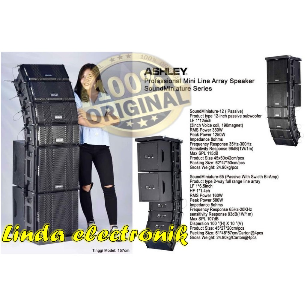 Jual PAKET PROFESIONAL MINI LINE ARRAY ASHLEY SPEAKER SOUNDMINIATURE ...