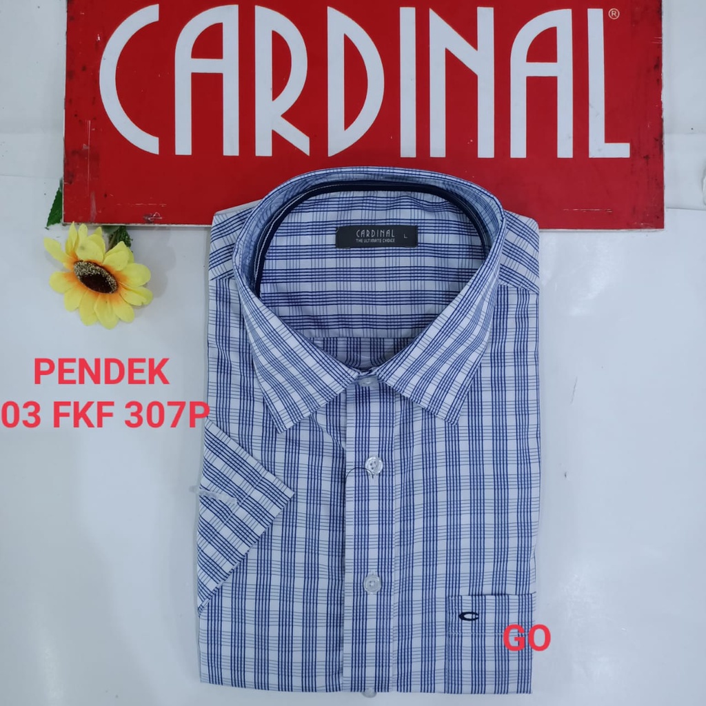 Jual bego S CARDINAL KEMEJA KOTAK GARIS FORMAL Pakaian Pria Atasan ...