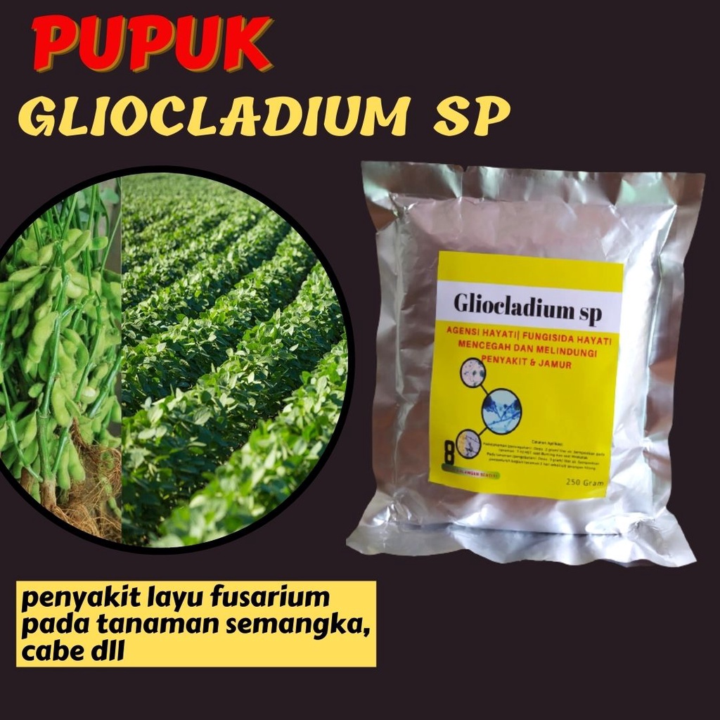 Jual Pupuk Pertumbuhan Kedelai Organik 250 GR, Fungisida Hayati ...