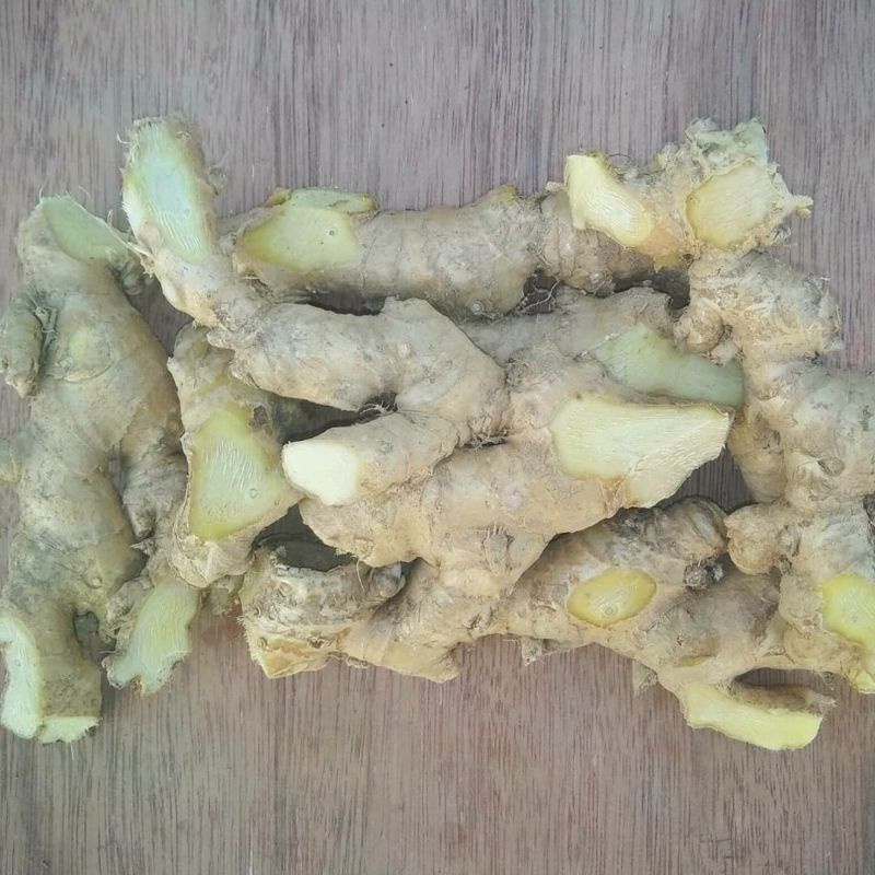 Jual Rimpang Lempuyang Emprit Segar (500 Gram) | Shopee Indonesia