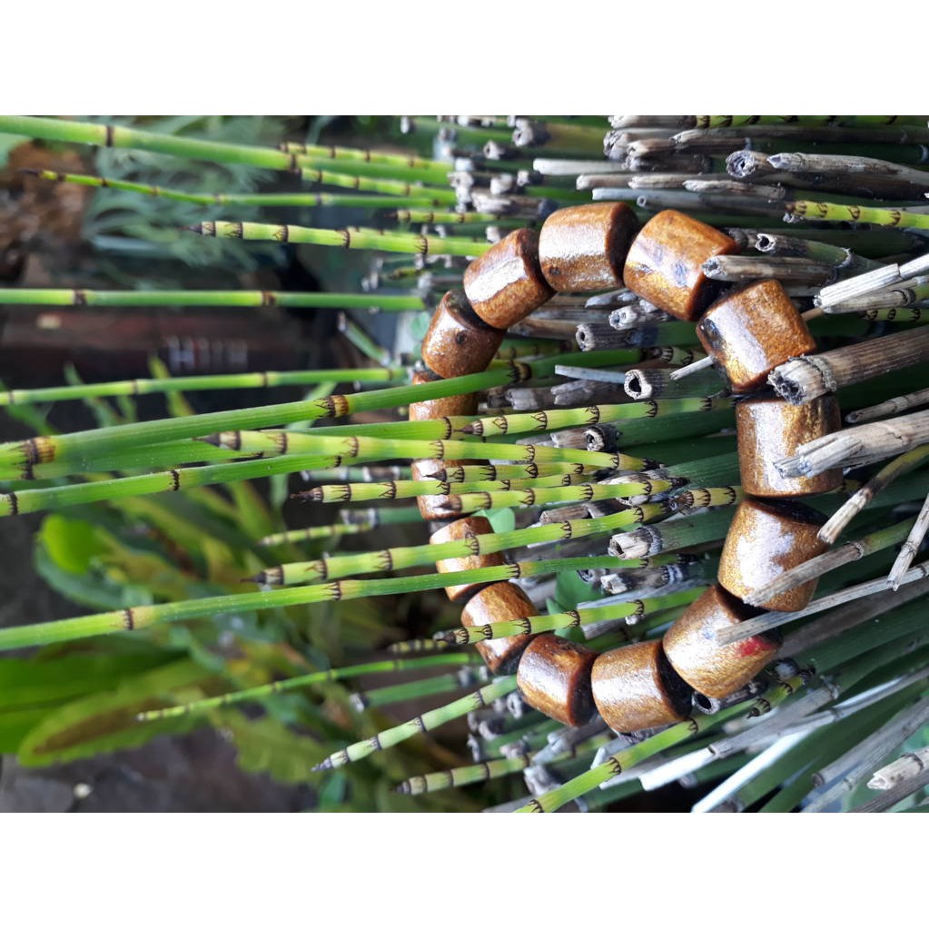 Jual Gelang Inovatif AKAR LAUT TALI ARUS MAS Model Tablet Ukuran 10 mm ...