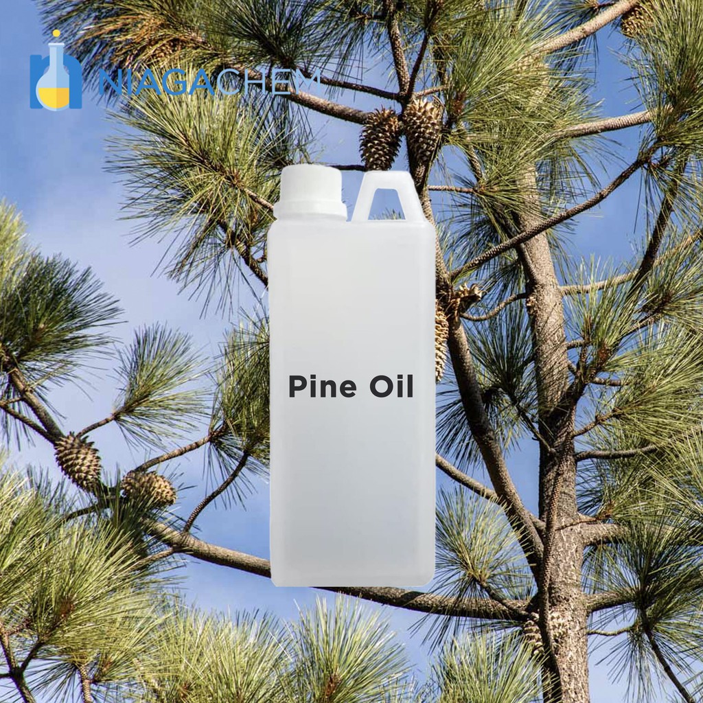 Jual Pine Oil/ Minyak Pinus Kadar 50% 1L | Shopee Indonesia