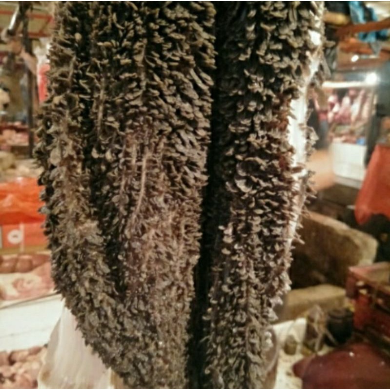 Jual BABAT SAPI | BABAT RAWEUY 500 GRAM | Shopee Indonesia