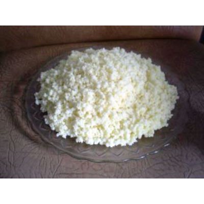 Jual Bibit Kefir Asli Kefir Grain 50 Gram Untuk Susu Kefir Rekomendasi ...