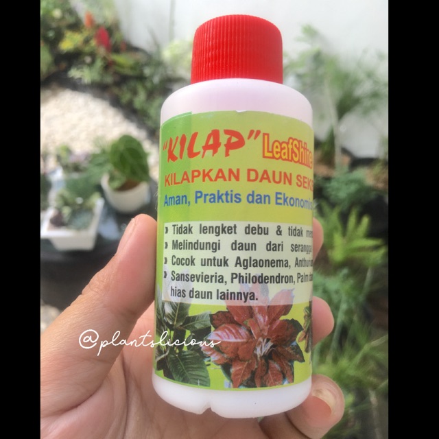 Jual Kilap - Pengkilap Daun - Kilap Leaf Shine 100ml | Shopee Indonesia