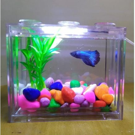 Jual Aquarium Mini Kecil Susun Lampu Led ikan hias cupang colokan usb ...