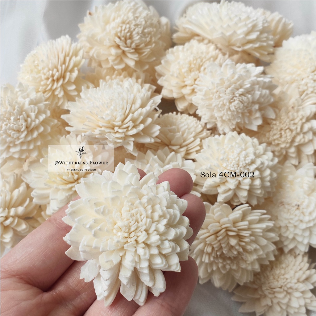 Jual 5 PCS Bunga Sola Wood Flowers 4 CM / Bunga Kayu | Shopee Indonesia