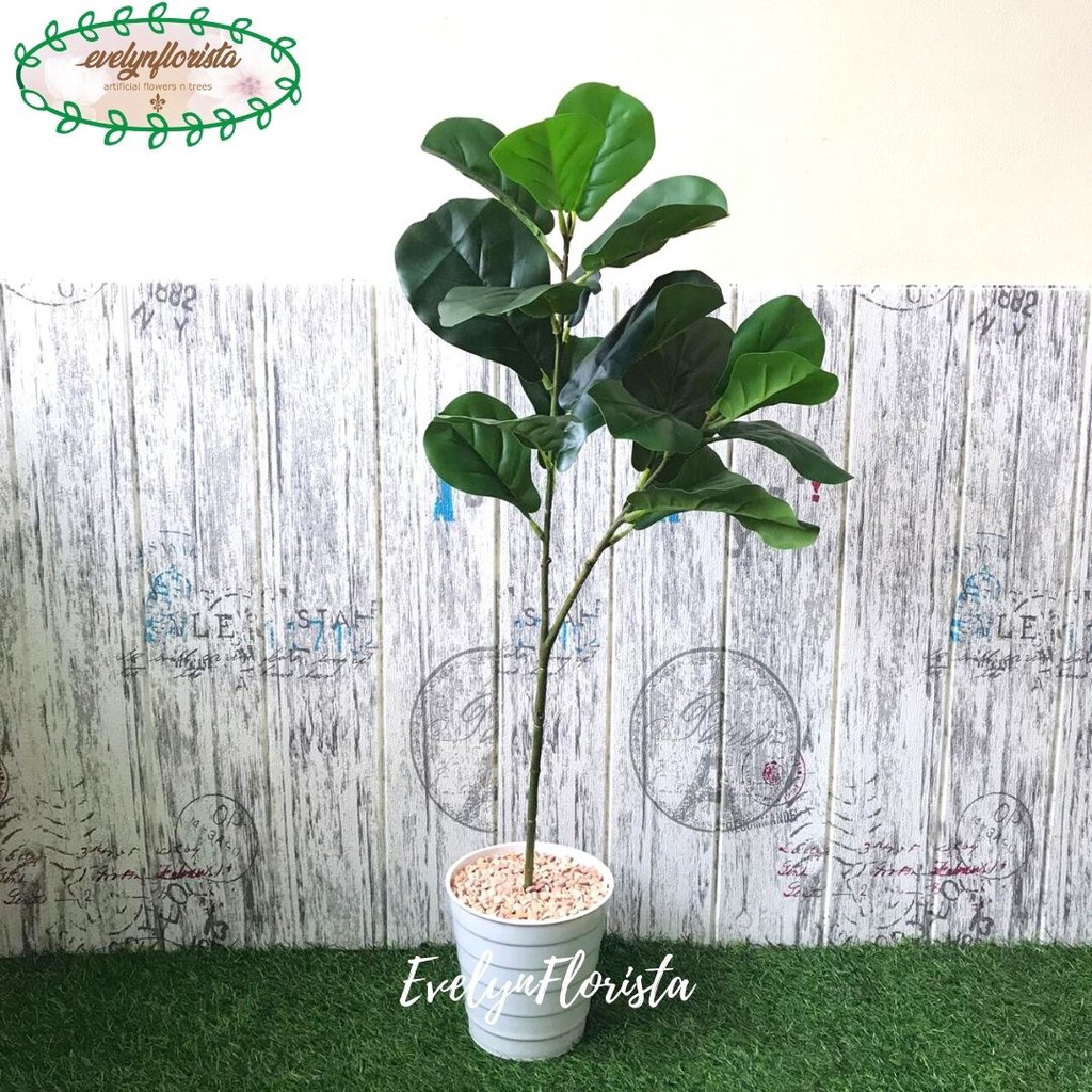 Jual Pohon Artificial Daun Ketapang T80 Latex Pot Ulir Plastik Tanaman ...