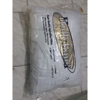 Produk KASUR BUSA INOAC ORIGINAL | Shopee Indonesia