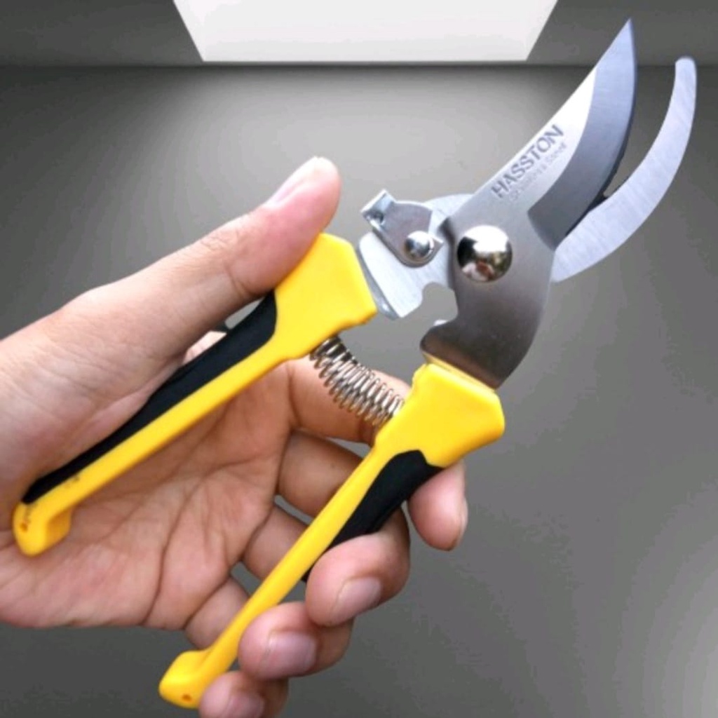 Jual Gunting Dahan Ranting Stek Bunga Taman Hasston Prohex | Shopee ...