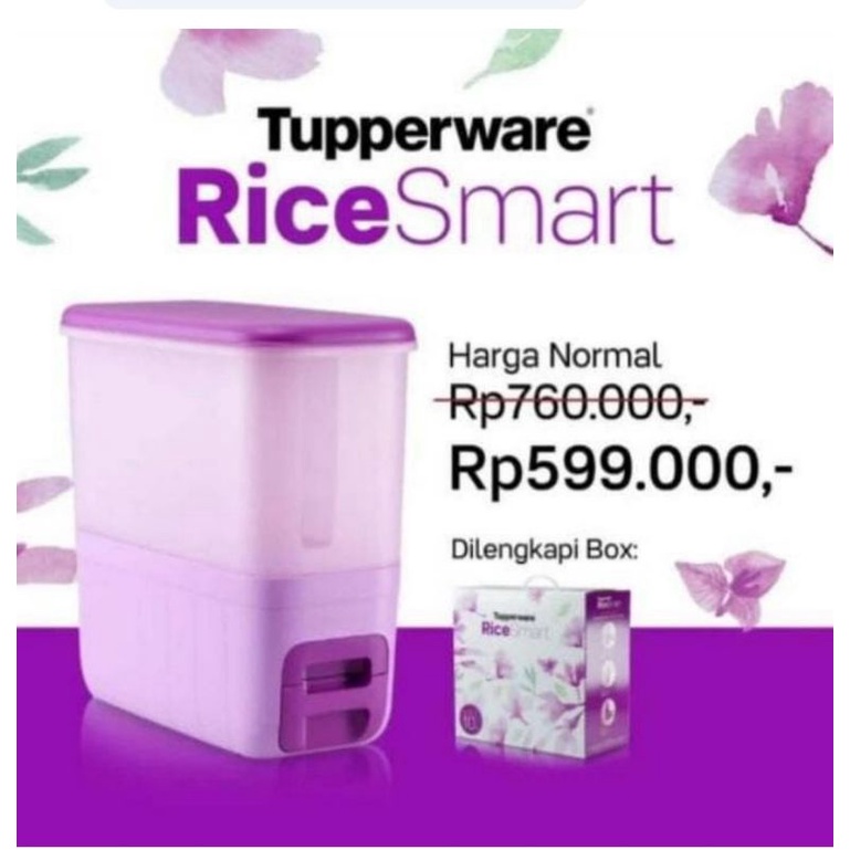 Jual Dispenser Beras - Wadah / Tempat / Box Penyimpanan Transparan 10kg - Rice Smart Original ...
