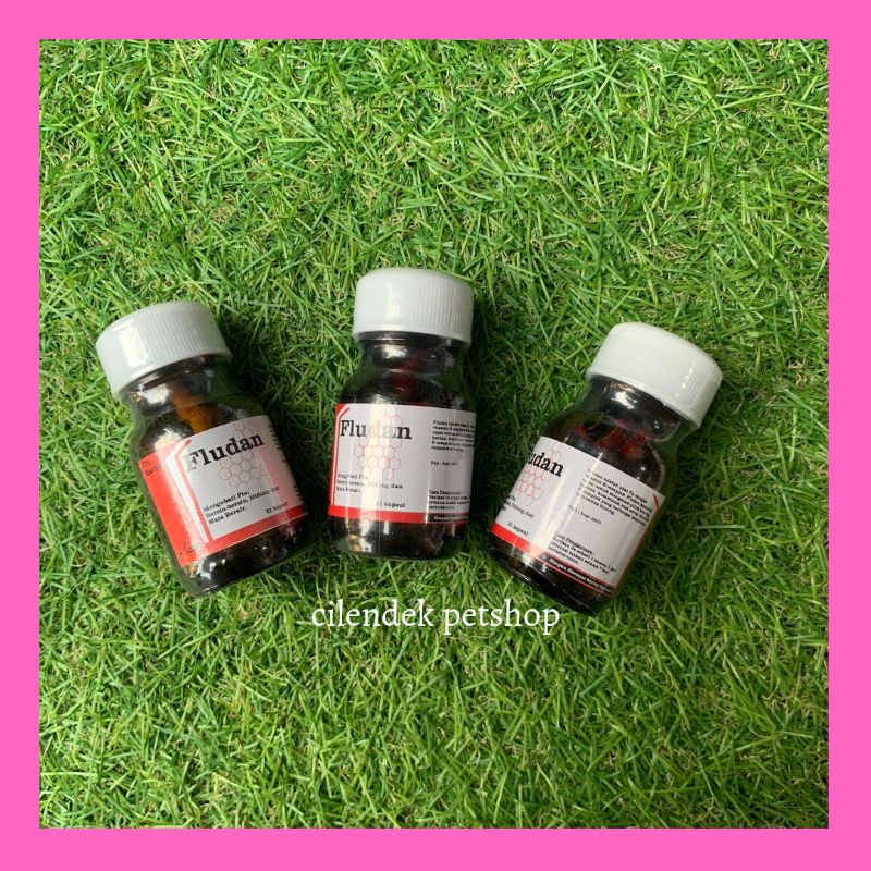 Jual Obat Fludan Kapsul Untuk Kucing Mengobati flu,bersin-bersin,hidung ...