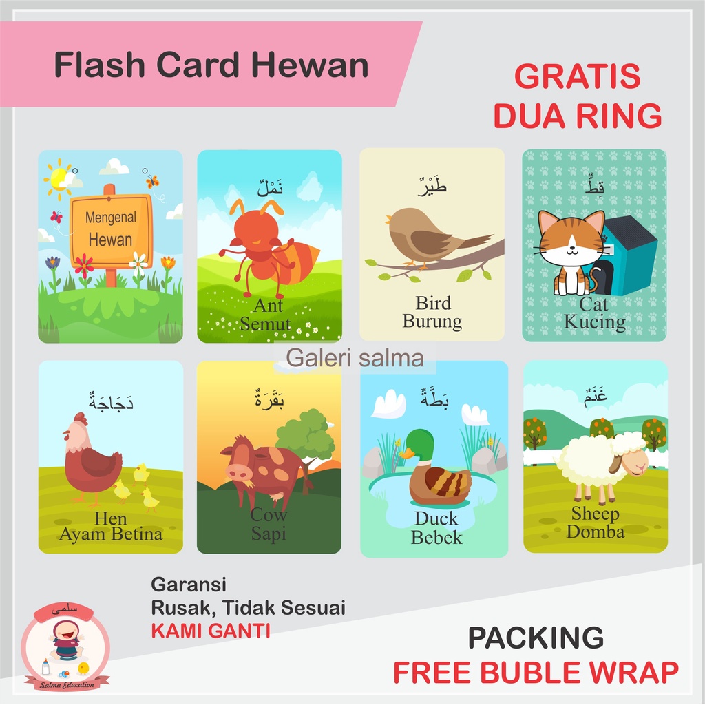 Jual Flash Card Hewan Binatang Mainan Edukasi Anak Kartu Pintar Balita ...